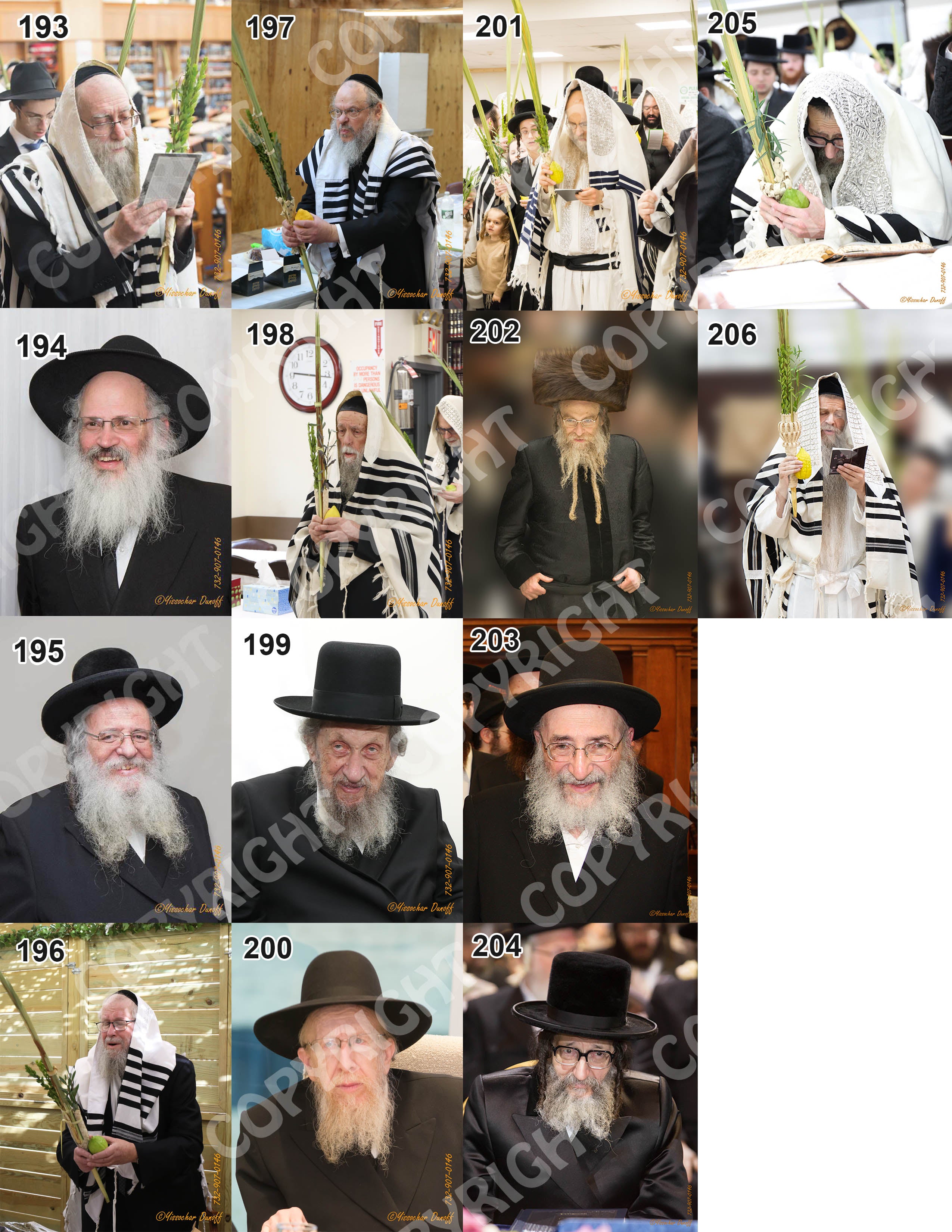 8.5x11 Inch Laminated Posters 193-206 – Gedolim Sukkah Posters