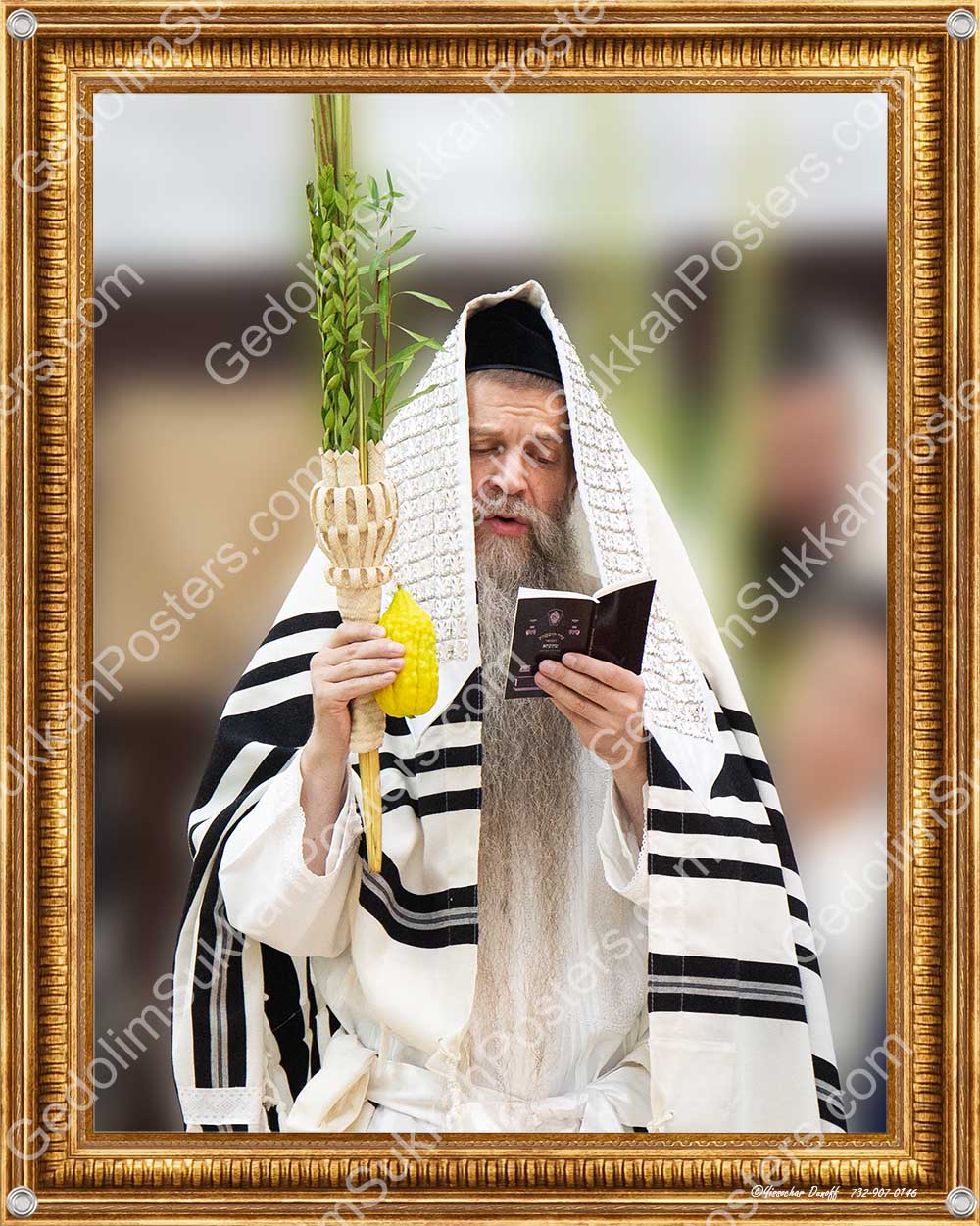 R' Binyomin Eisenberger Lulav – Gedolim Sukkah Posters