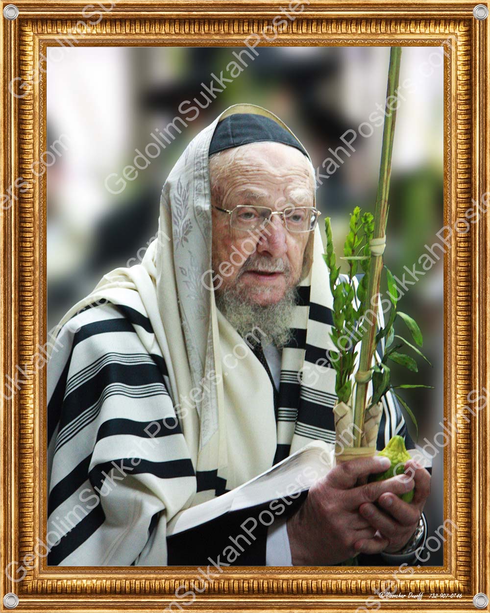 R' Dovid Feinstein – Gedolim Sukkah Posters